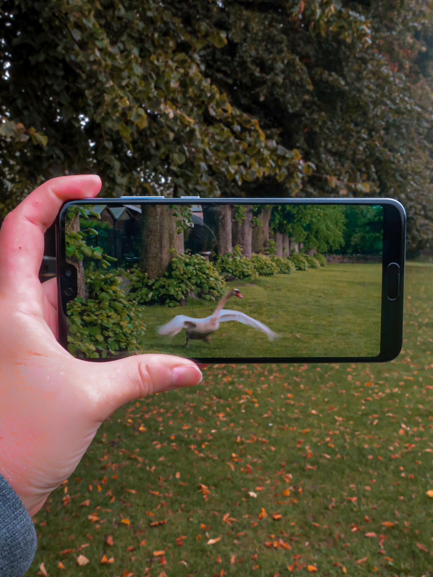 A Guide to Hot Fuzz Filming Locations in Wells – GEEKY TOURIST